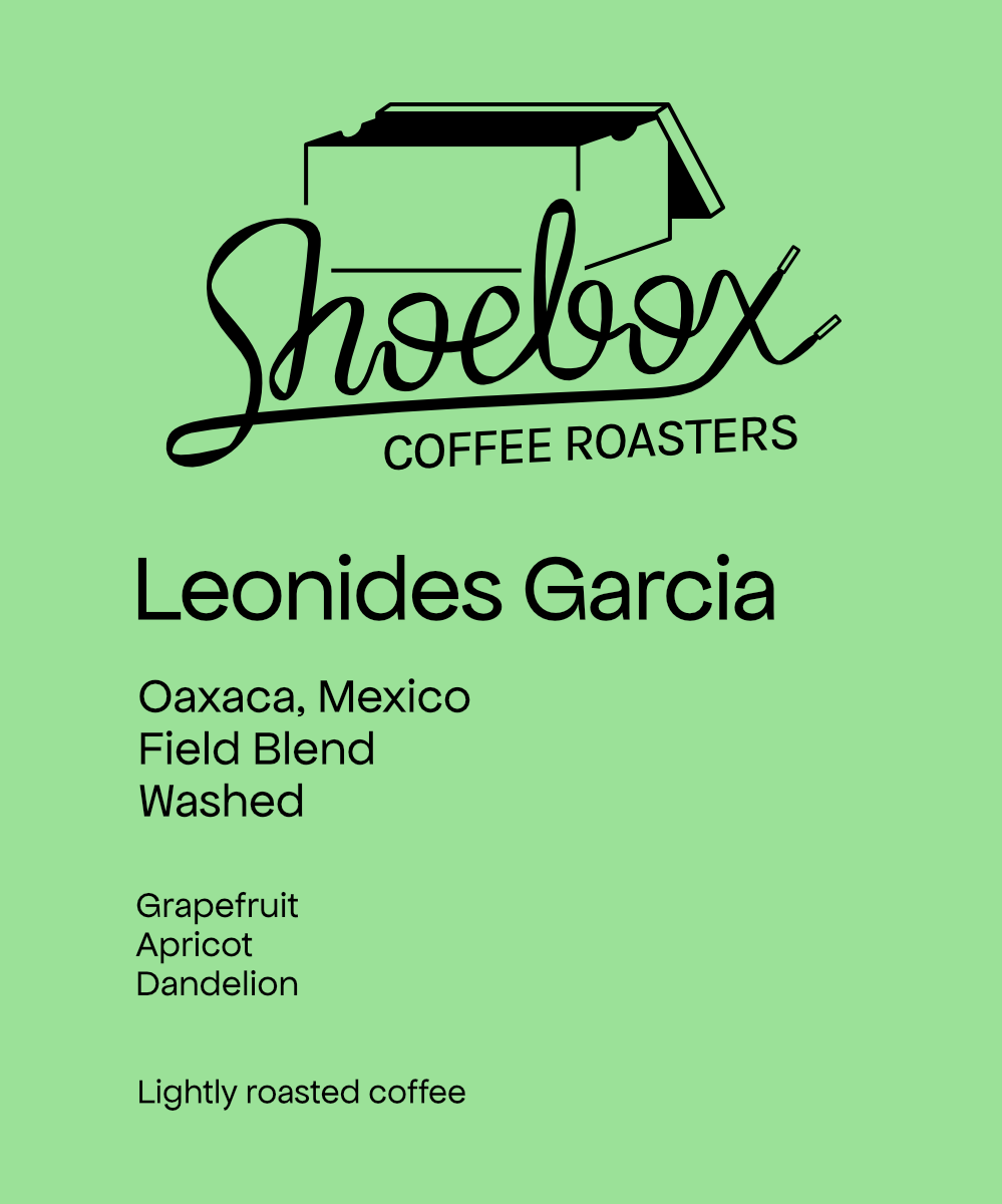 Mexico Leonides Castro Garcia Washed – Shoebox Coffee