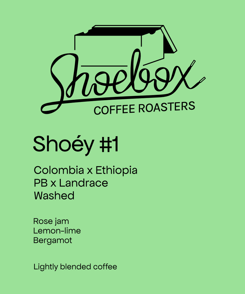 Shoéy #1 – Shoebox Coffee
